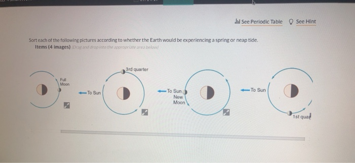 Solved See Periodic Table See Hint Sort each of the | Chegg.com