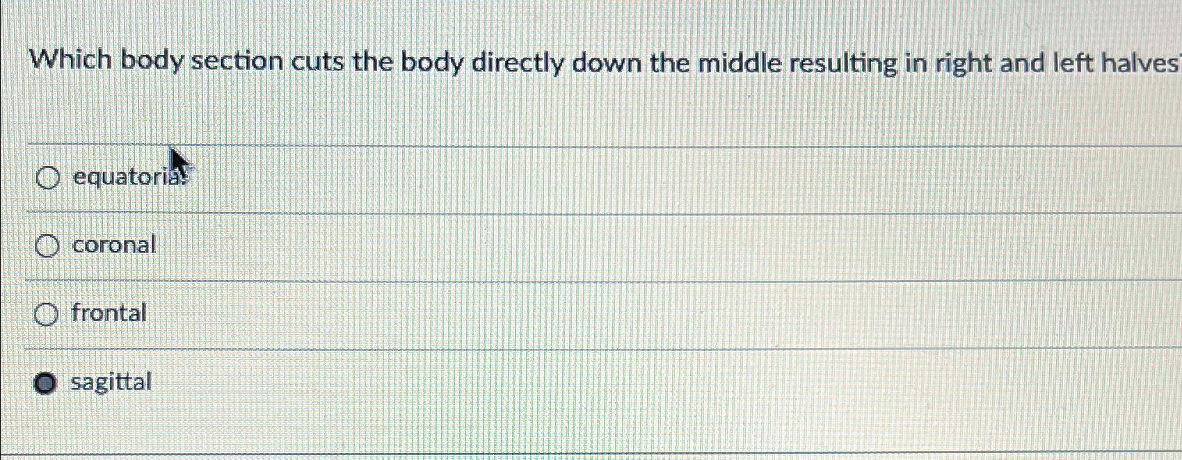 Solved Which body section cuts the body directly down the | Chegg.com