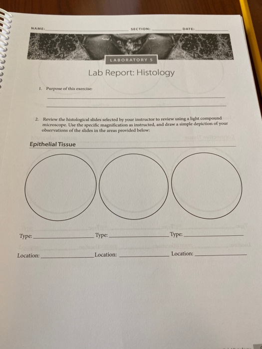 U 24177 LABORATORY 5 Lab Report: Histology 1. Purpose | Chegg.com