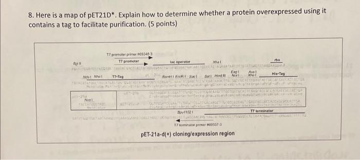 Solved 8. Here is a map of pET21D∗. Explain how to determine | Chegg.com