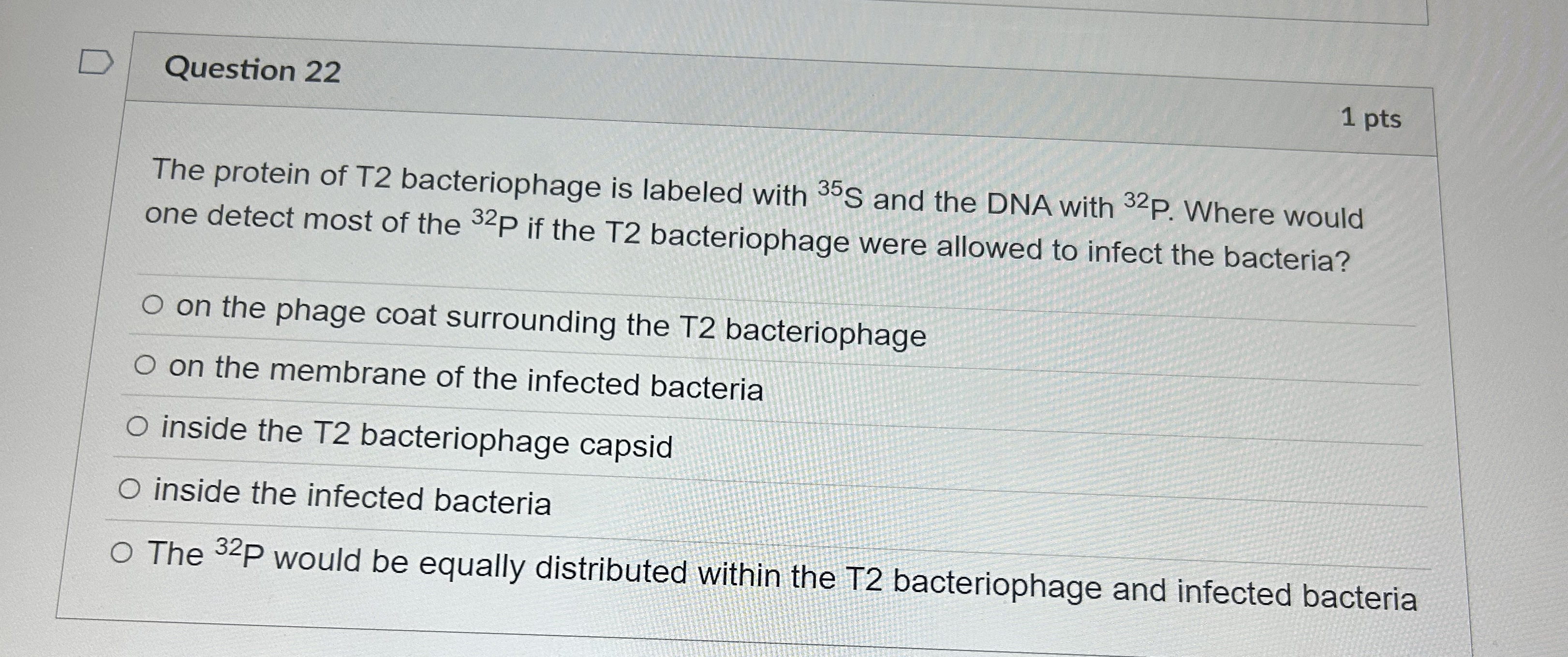 Solved Question 221 ﻿ptsThe protein of T2 ﻿bacteriophage is | Chegg.com