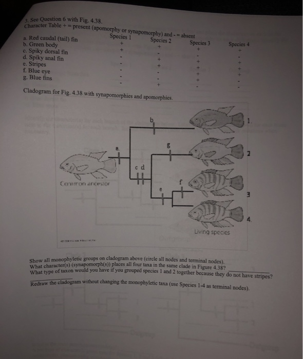 See Question 6 with Fig. 4.38 Character Table | Chegg.com