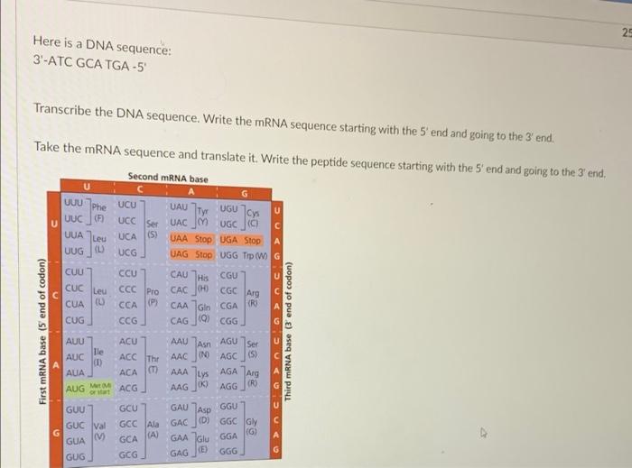 Solved Here is a DNA sequence: 3’-ATC GCA TGA - 5’ | Chegg.com