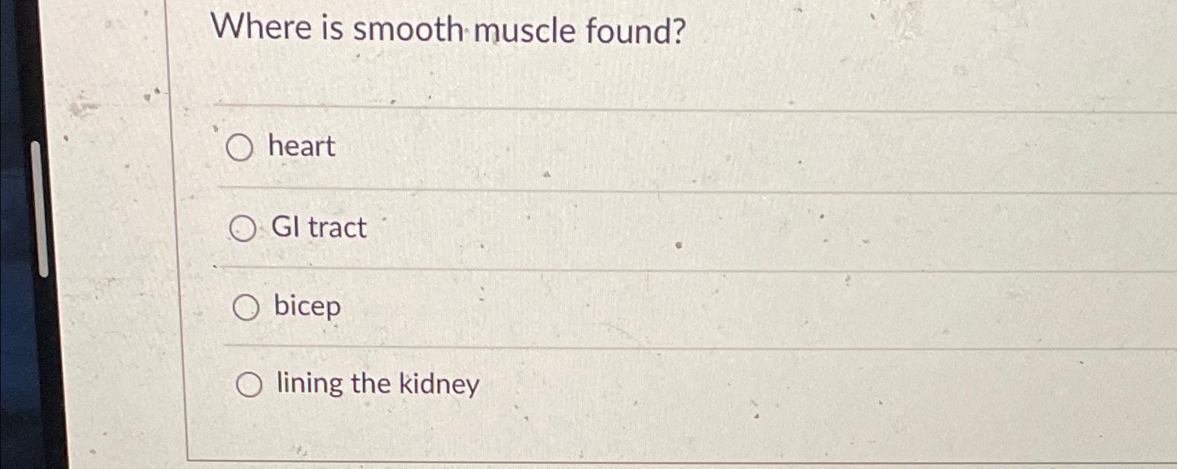Solved Where is smooth muscle found?heartGI tractbiceplining | Chegg.com
