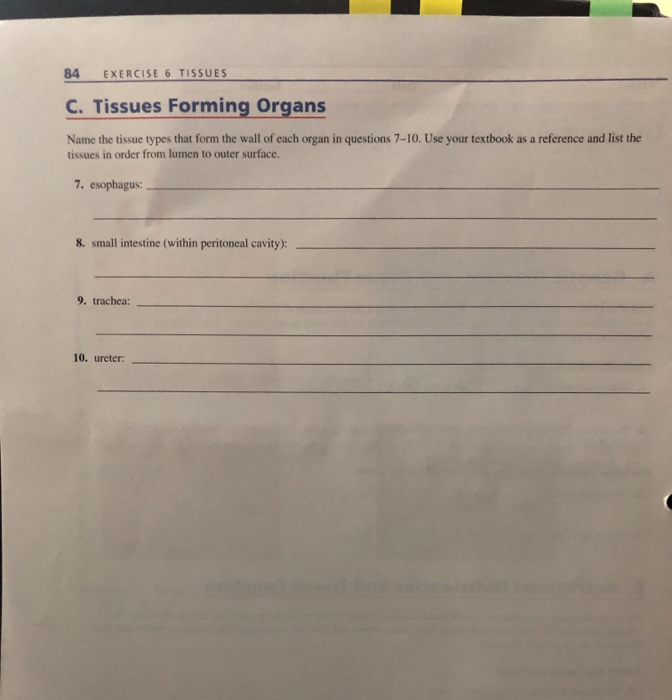 Solved Date Section Using Your Knowledge EXERCIS 6 A. | Chegg.com