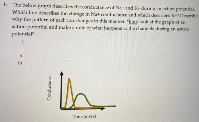 Solved b. The below graph describes the conductance of Na+ | Chegg.com