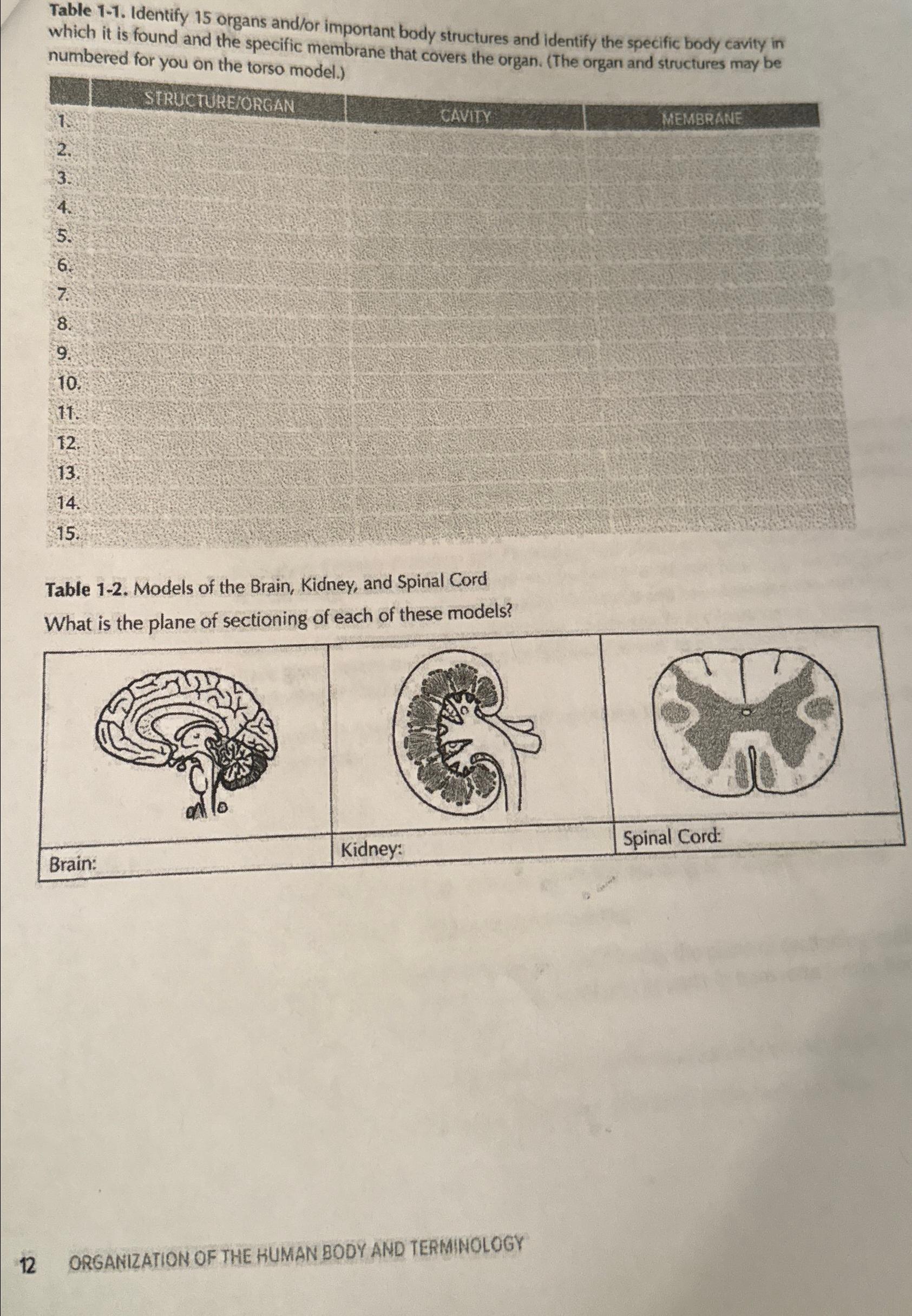 Solved Table 1-1. ﻿Identify 15 ﻿organs and/or important body | Chegg.com