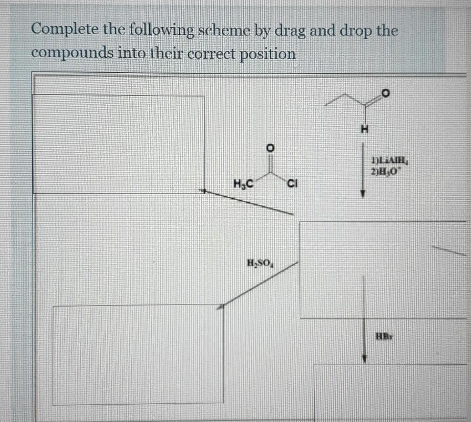 Solved Complete the following scheme by drag and drop the | Chegg.com
