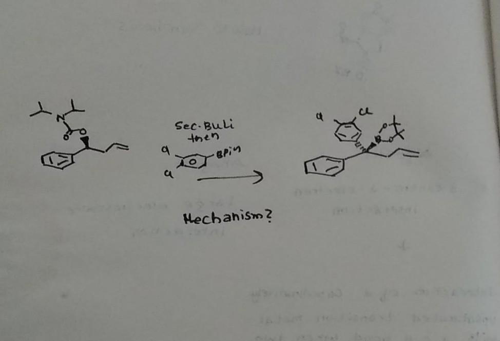 Solved Sec. Buli then a BPin Mechanism? | Chegg.com