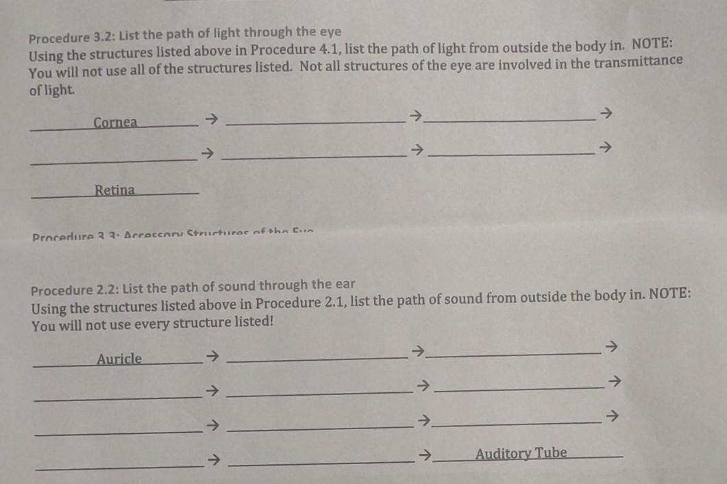 Solved Procedure 3.2: List the path of light through the eye | Chegg.com