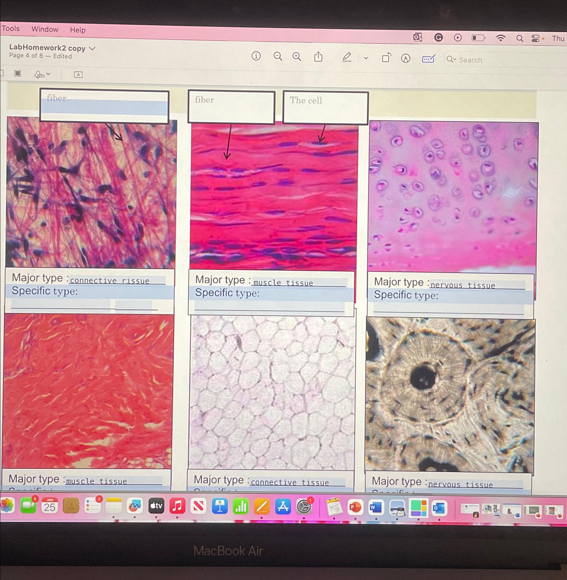 Solved Wjay are the tissue | Chegg.com