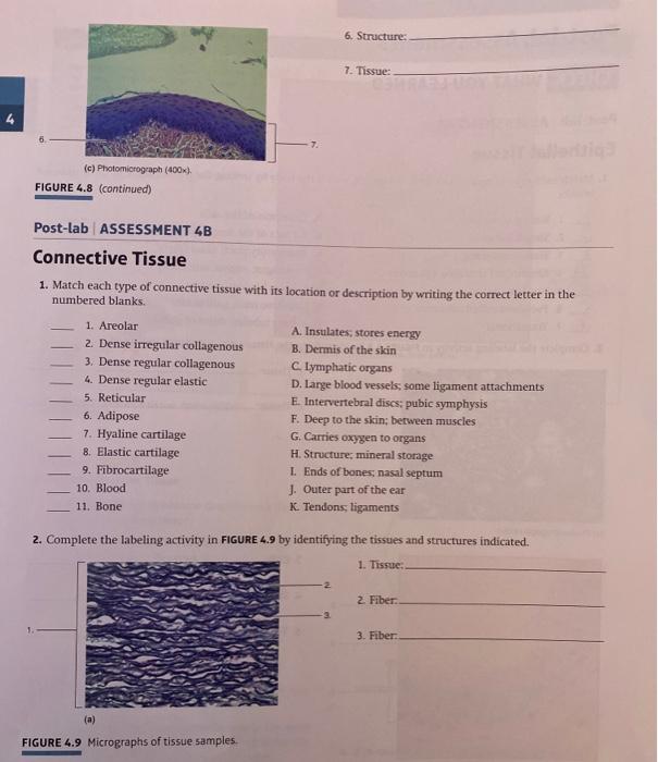 Solved 2. Complete the labeling activity in FIGURE 4.8 by | Chegg.com