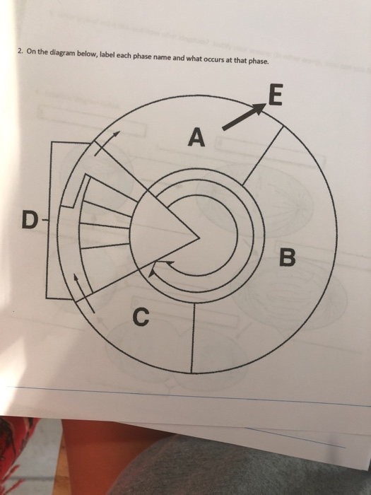 Solved 2. On the diagram below, label each phase name and | Chegg.com