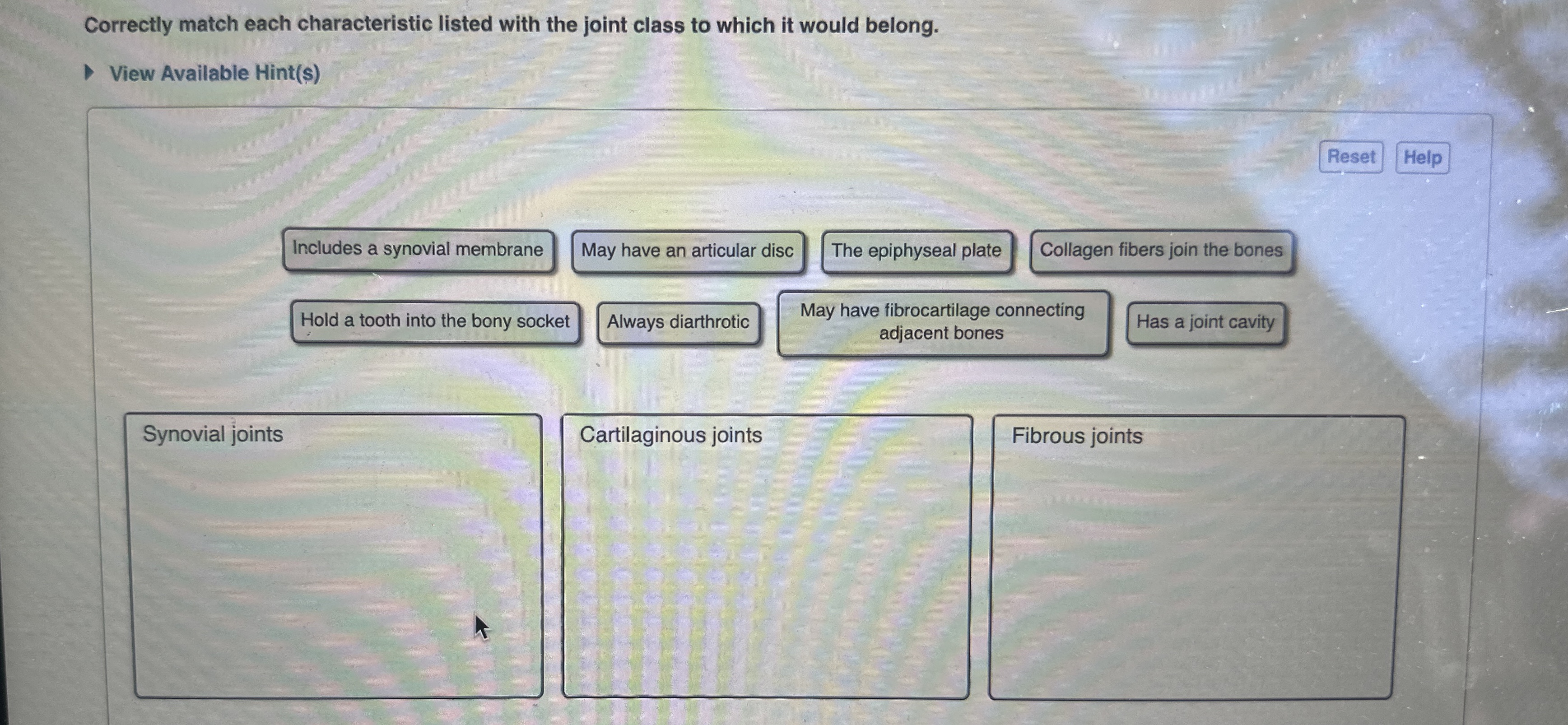 Correctly match each characteristic listed with the | Chegg.com