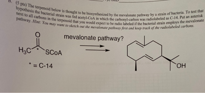 Solved 4. Biosynthesis (15 pts). Draw the mechanism and | Chegg.com