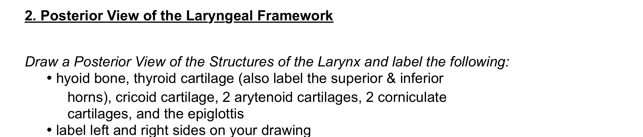 Solved Posterior View of the Laryngeal FrameworkDraw a | Chegg.com