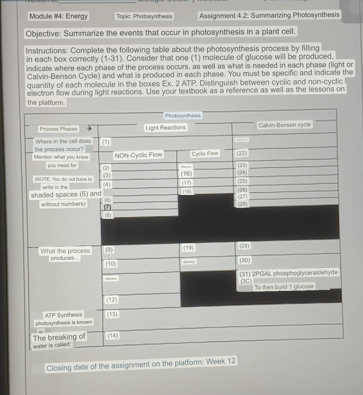 Solved Module #4: EnergyTopic: PhotosynthesisAssignment 4.2: | Chegg.com
