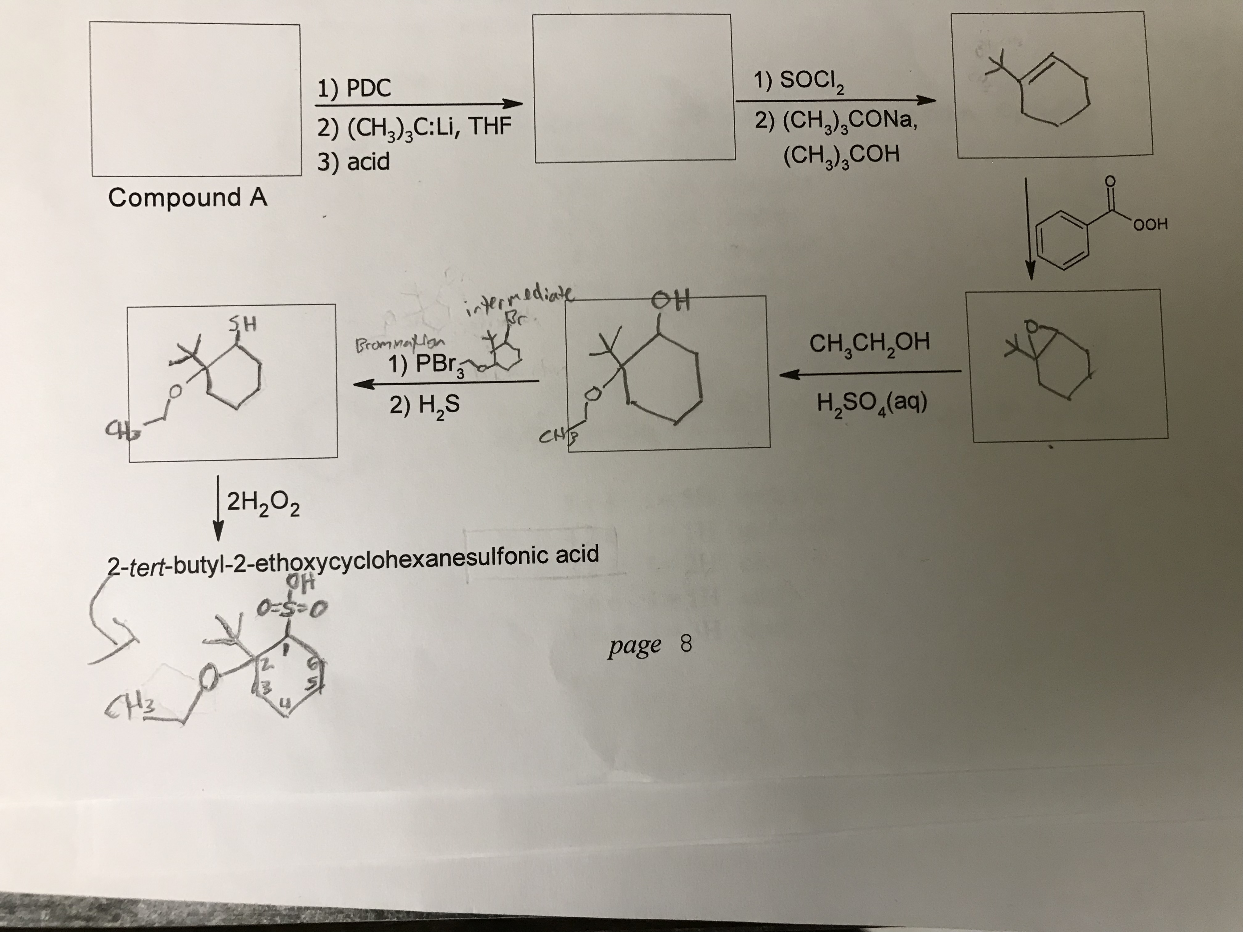Solved Draw the structures that go in the two empty boxes in | Chegg.com