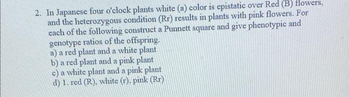 Solved 2. In Japanese four o'clock plants white (a) color is | Chegg.com