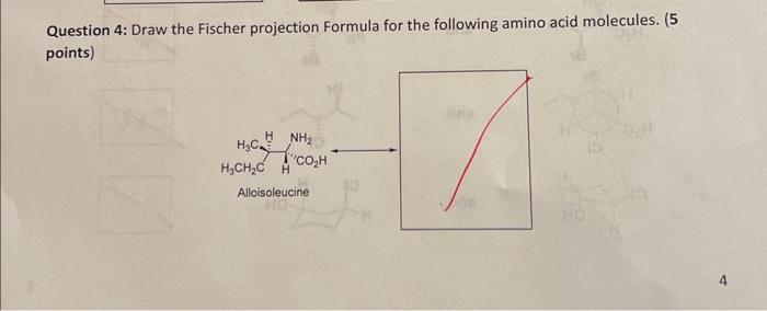 Solved Question 4: Draw the Fischer projection Formula for | Chegg.com
