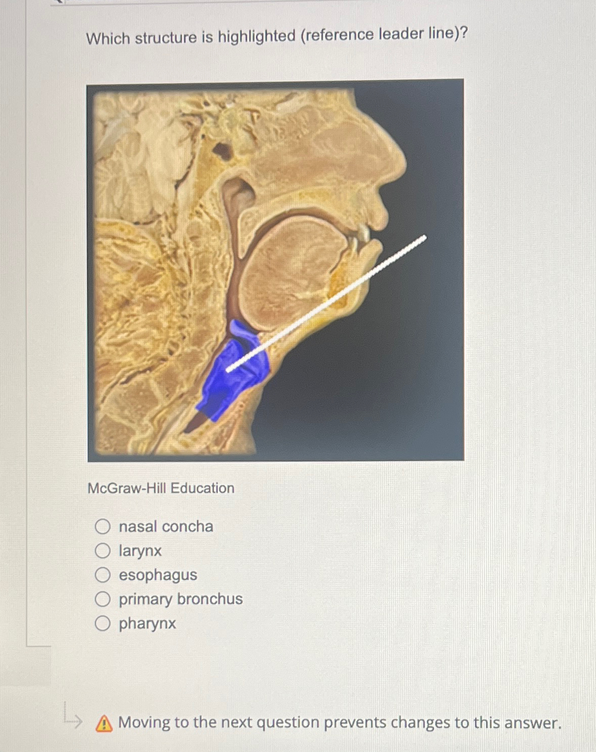 Solved Which structure is highlighted (reference leader | Chegg.com