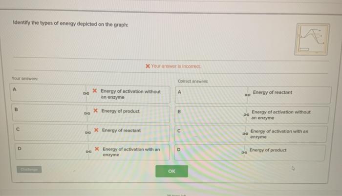 Solved Identify the types of energy depicted on the graph: X | Chegg.com
