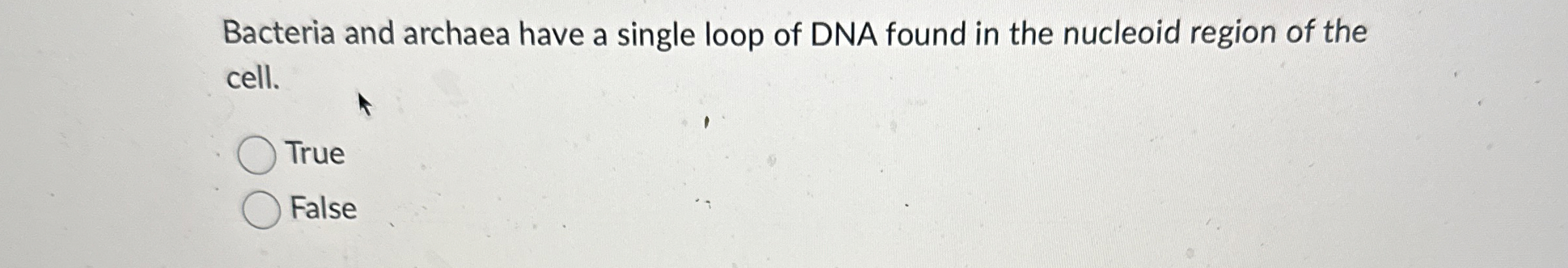 Solved Bacteria and archaea have a single loop of DNA found | Chegg.com