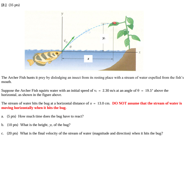Solved [2.] (35 ﻿pts) ﻿The Archer Fish hunts it prey by | Chegg.com
