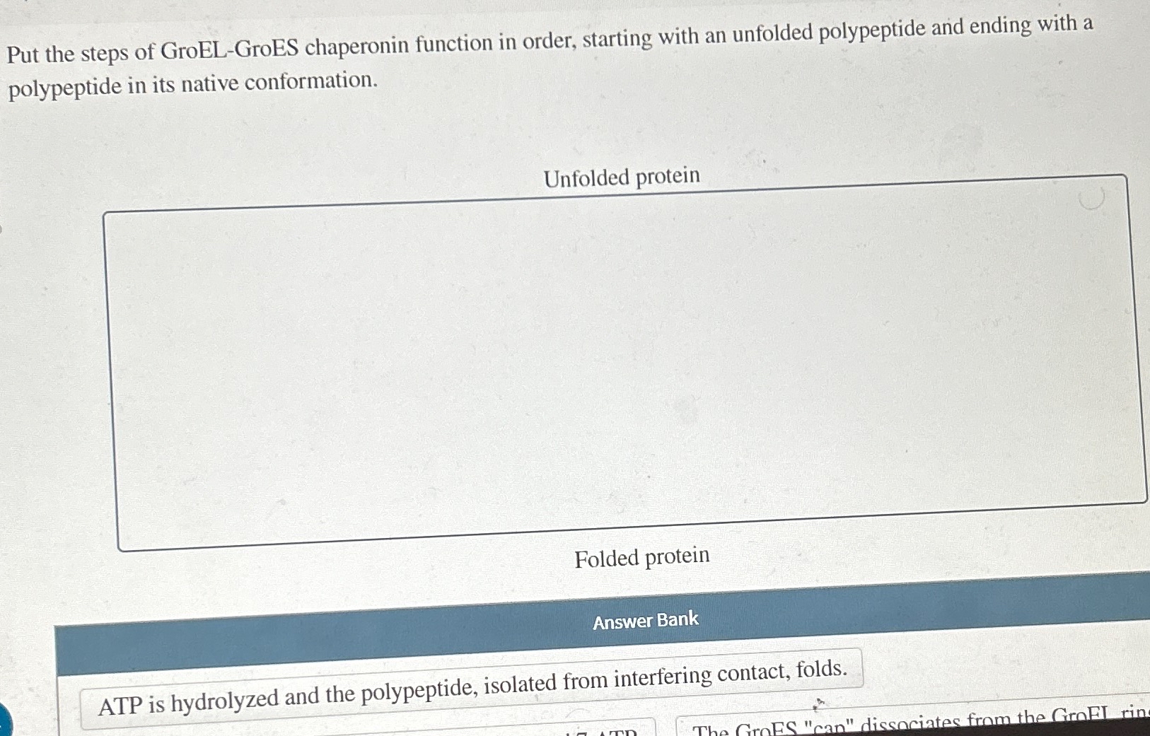 Solved Put the steps of GroEL-GroES chaperonin function in | Chegg.com