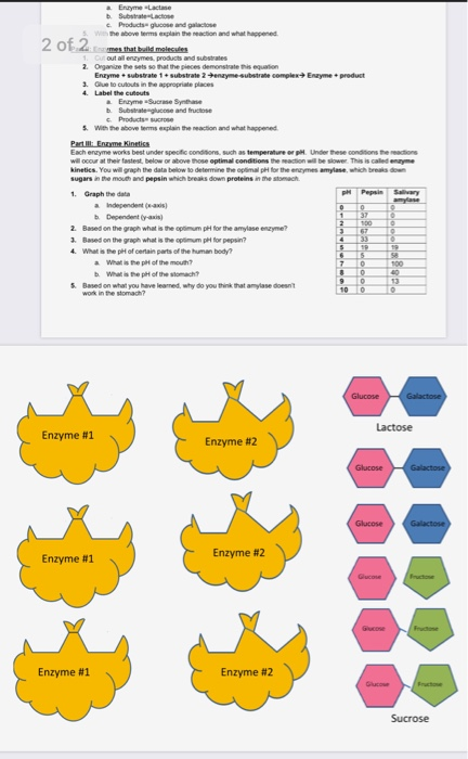 Solved NAME Period ENZYME PAPER ACTIVITY Background: Enzymes | Chegg.com