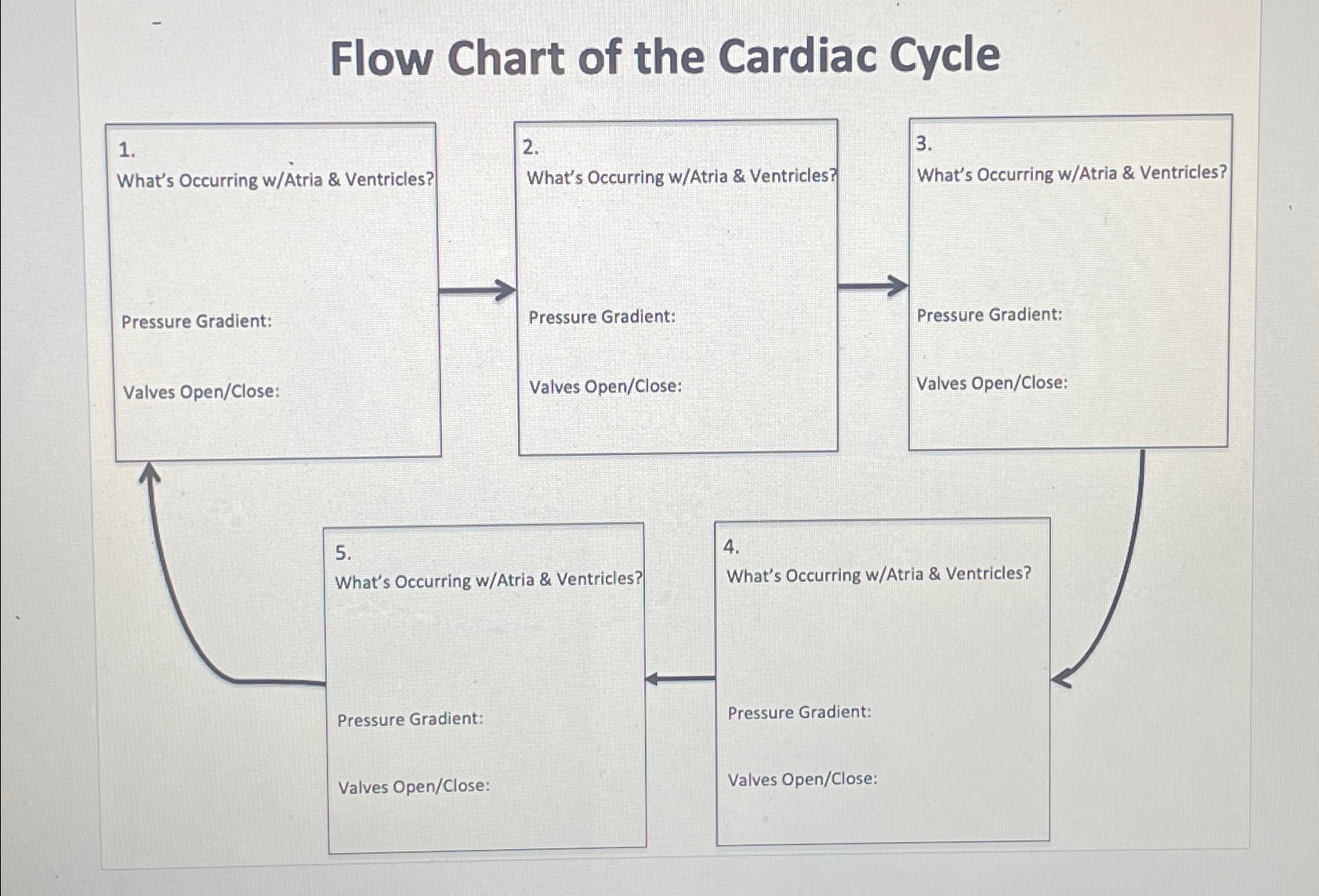 Solved Flow Chart of the Cardiac Cycle | Chegg.com