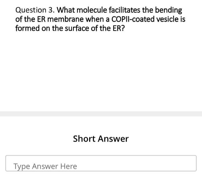 Solved Question 3 What Molecule Facilitates The Bending Of 