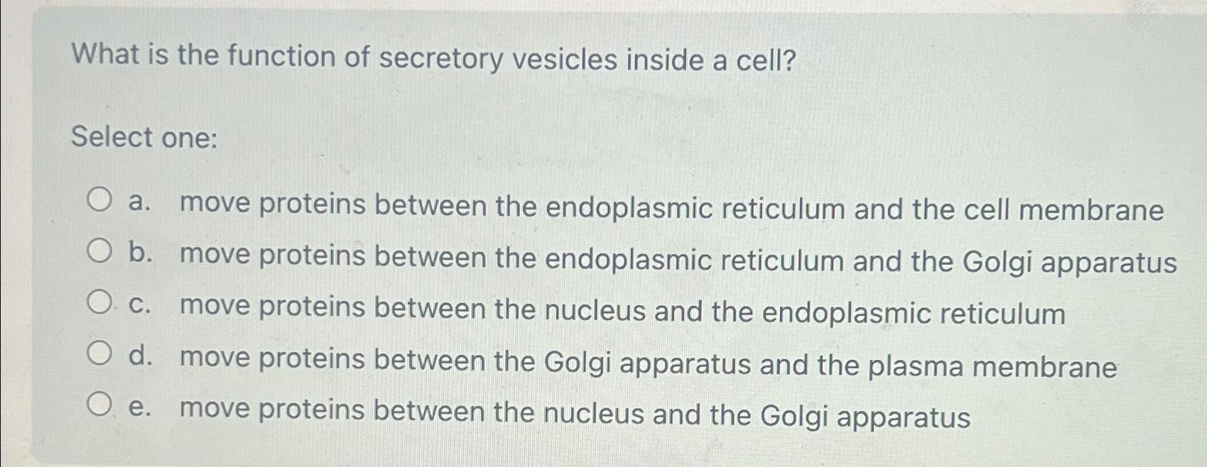 Solved What is the function of secretory vesicles inside a | Chegg.com