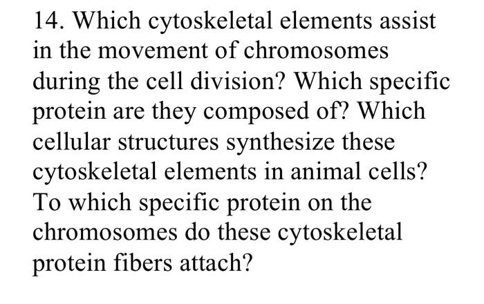 Solved 14. Which cytoskeletal elements assist in the | Chegg.com