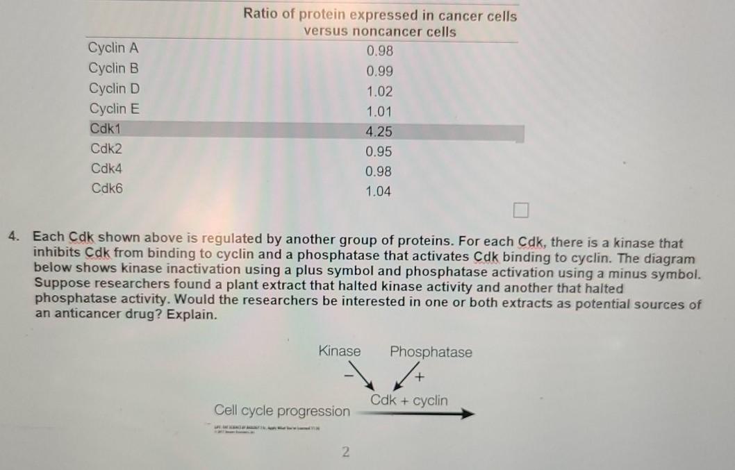 Solved Cyclin A Cyclin B Cyclin D Cyclin E Cdk1 Cdk2 Cdk4 | Chegg.com