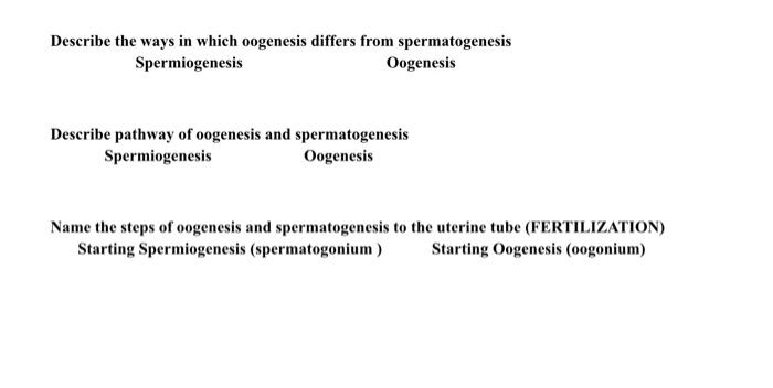 Solved Describe the ways in which oogenesis differs from | Chegg.com Solved Describe the ways in which oogenesis differs from | Chegg.com