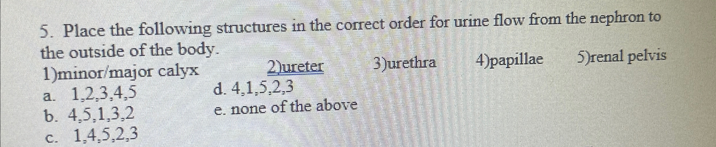 Solved Place the following structures in the correct order | Chegg.com