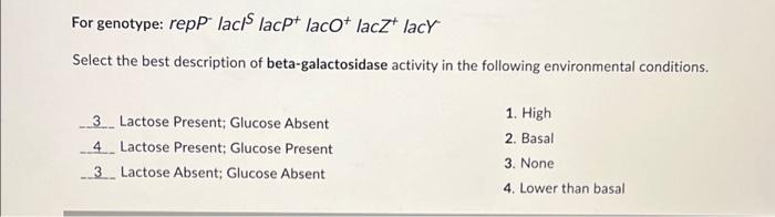 Solved For genotype: repP laclS lacP+ laco+ lacz¹ lacy | Chegg.com