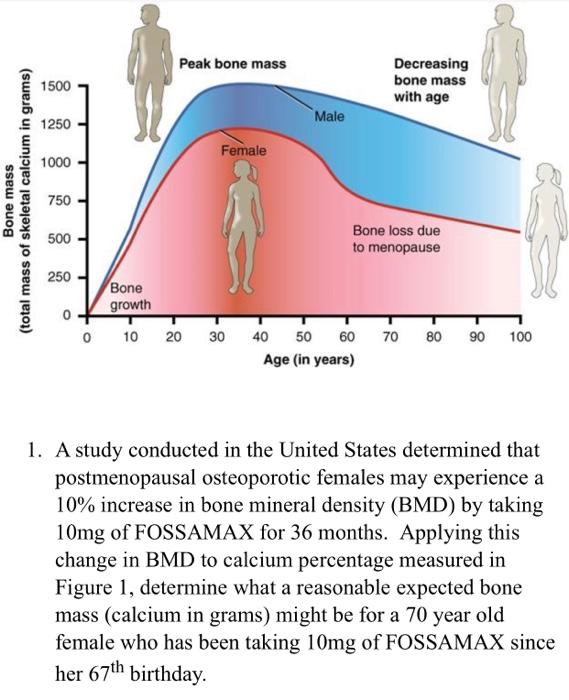 Solved Peak bone mass 1500 Decreasing bone mass with age | Chegg.com Solved Peak bone mass 1500 Decreasing bone mass with age | Chegg.com