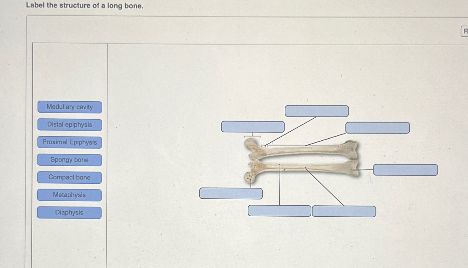 Solved Label the structure of a long bone.Distal | Chegg.com