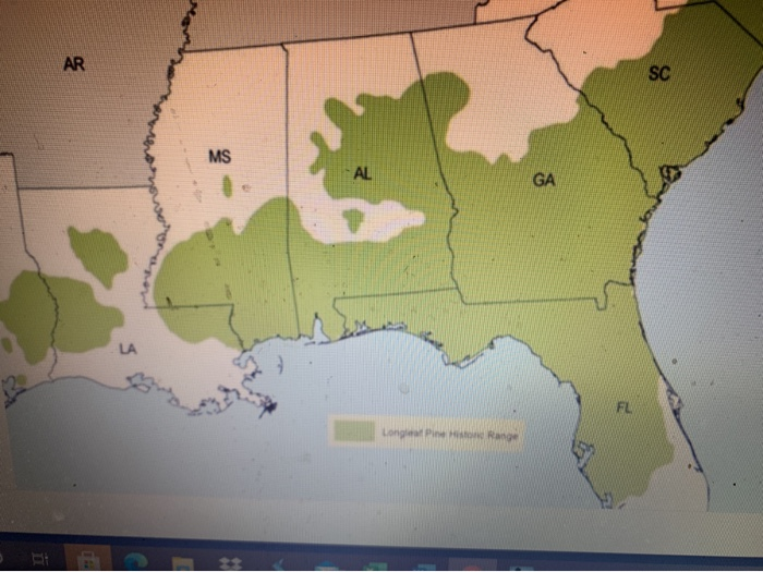 Solved FL Longleaf Pine Historic Range Disturbance and | Chegg.com