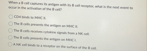 Solved When a B cell captures its antigen with its B cell | Chegg.com