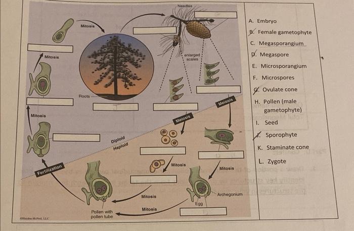 Solved please label | Chegg.com