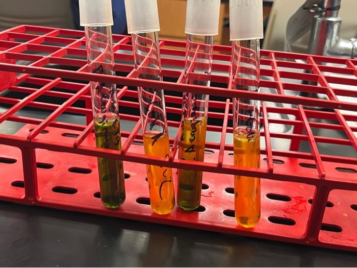 Solved lab oxidative fermentation test what respiration | Chegg.com