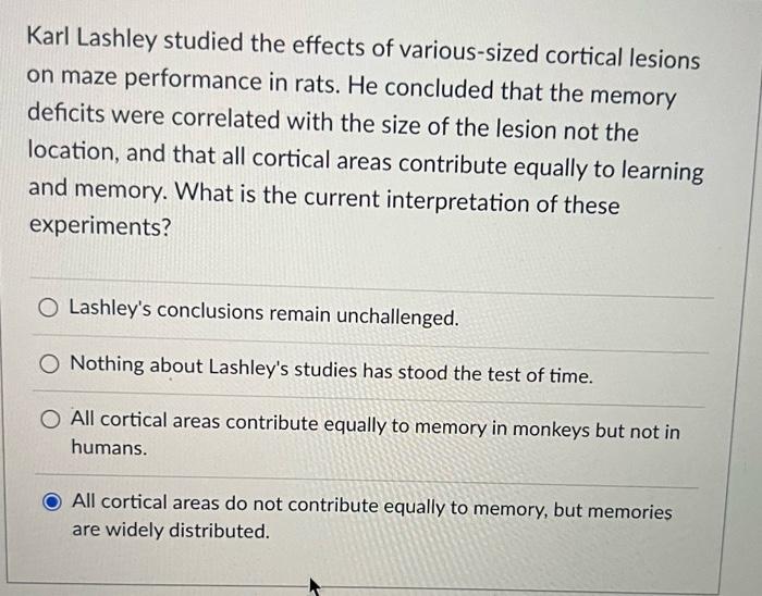 Solved Karl Lashley studied the effects of various-sized | Chegg.com
