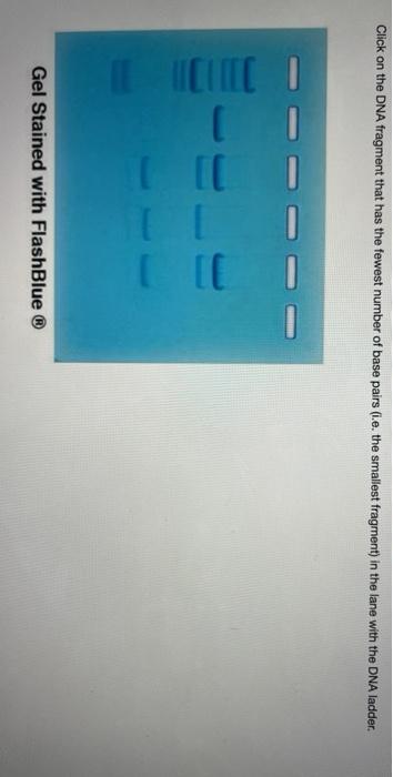 Solved Click on the DNA fragment that has the fewest number | Chegg.com