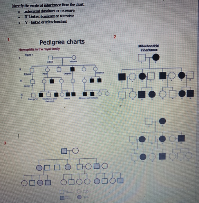 Solved Identify the mode of inheritance from the chart | Chegg.com