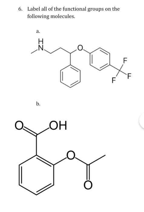 Solved 6. Label all of the functional groups on the | Chegg.com