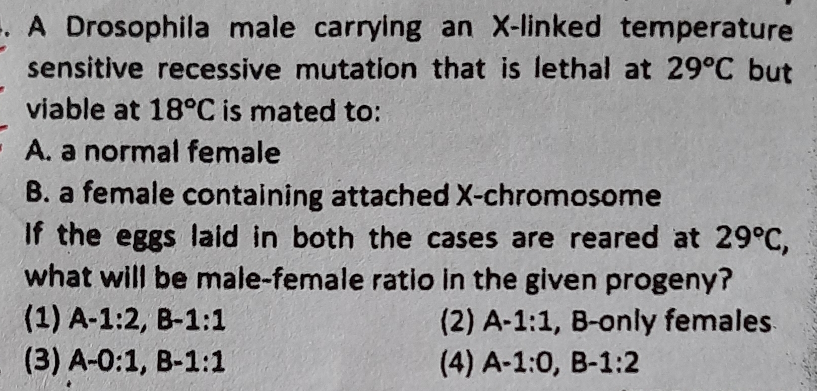 Solved A Drosophila male carrying an x-linked temperature | Chegg.com