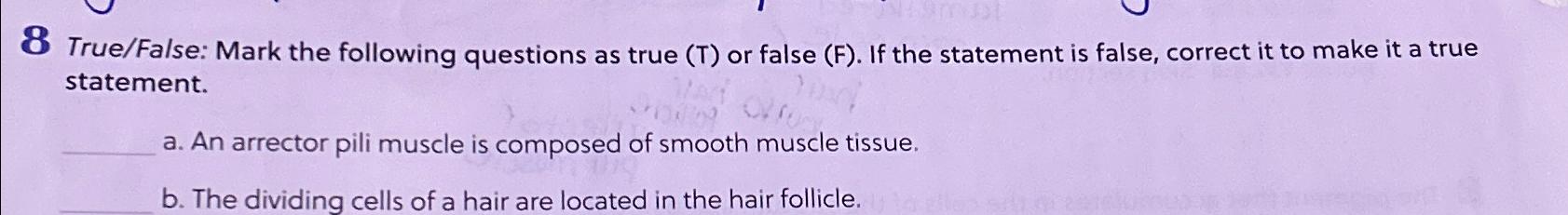 Solved 8 ﻿True/False: Mark the following questions as true | Chegg.com